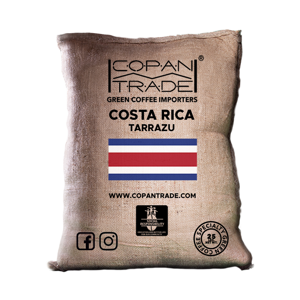 ALL GREEN COFFEE – Tagged "country:costa rica"